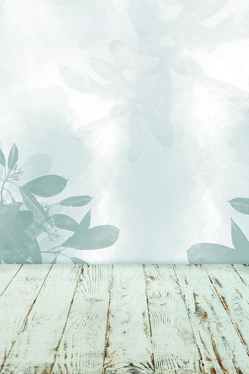 Fond de studio SP 35