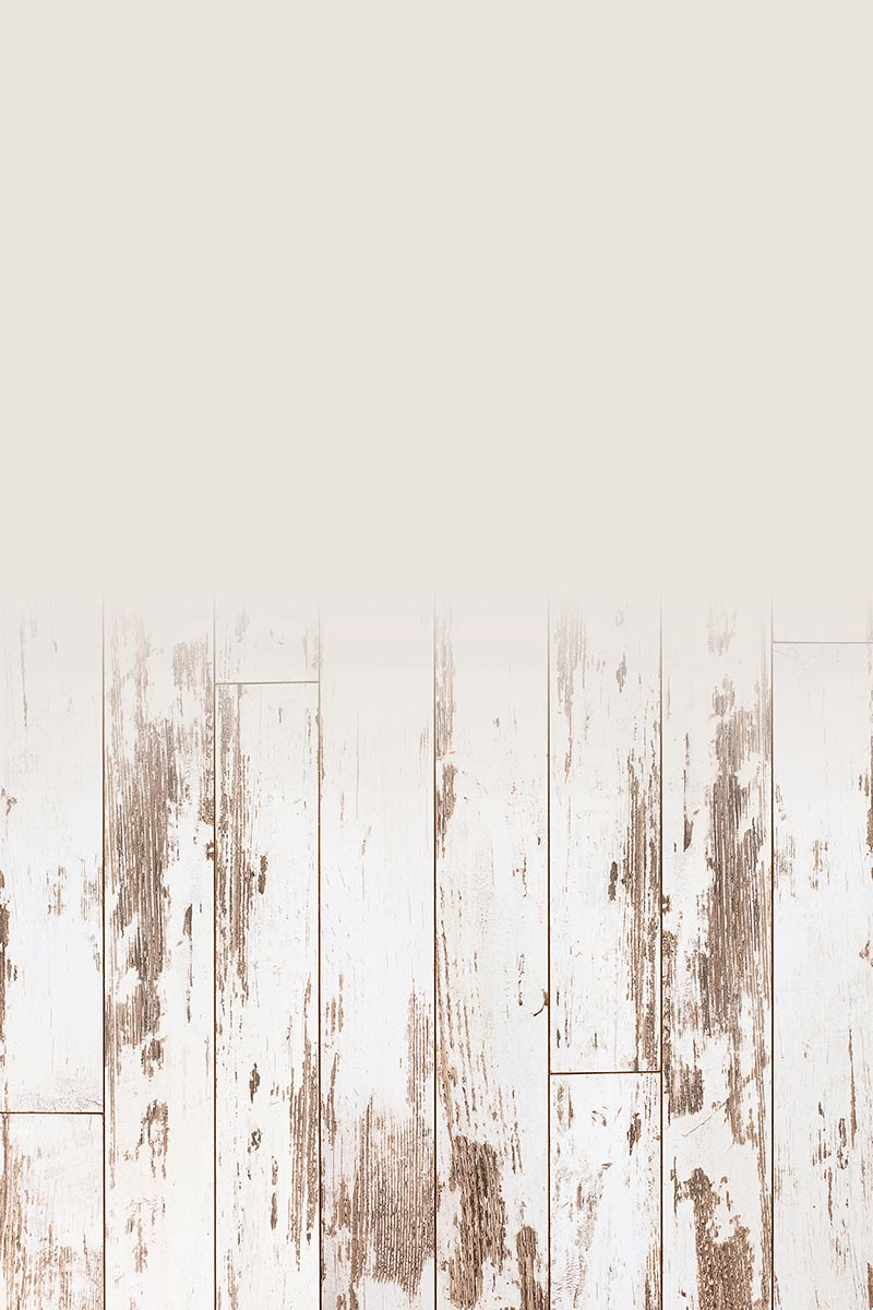 Fond de studio SSF 14